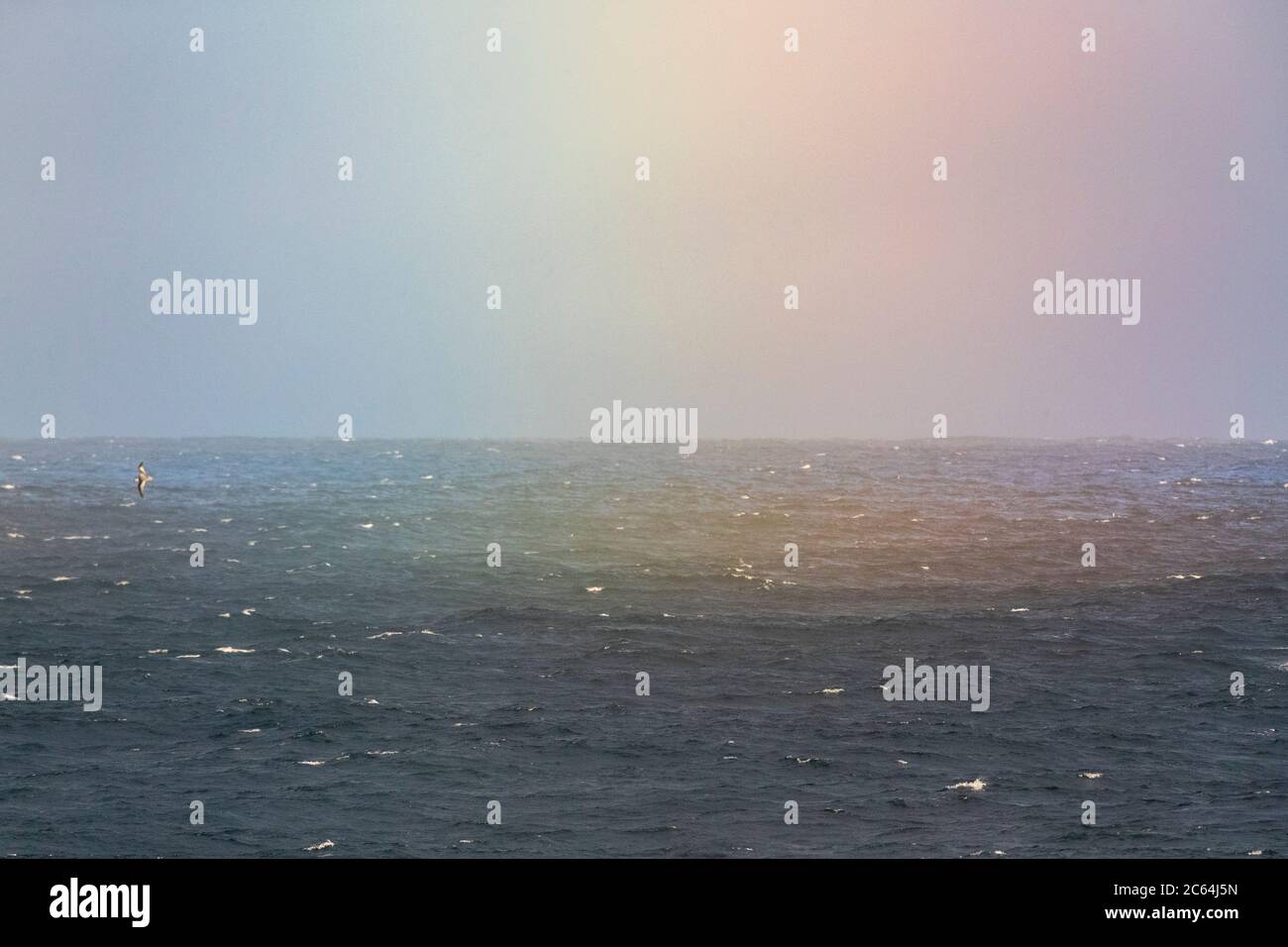 Rainbow at sea off The Snares, Subantarctic New Zealand. Photographed ...