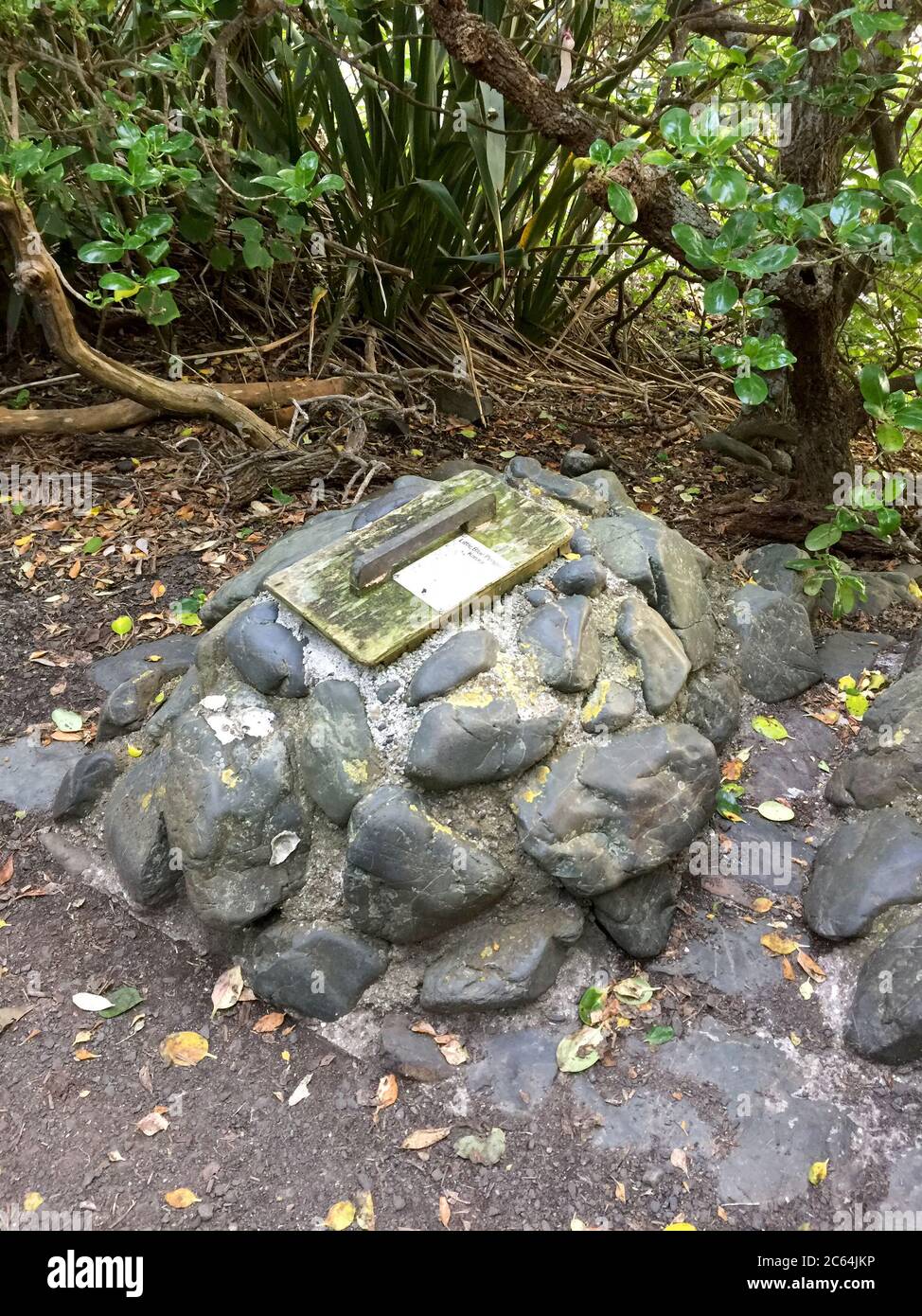 Artificial burrow for a Little Blue Penguin (Eudyptula minor) at the ...