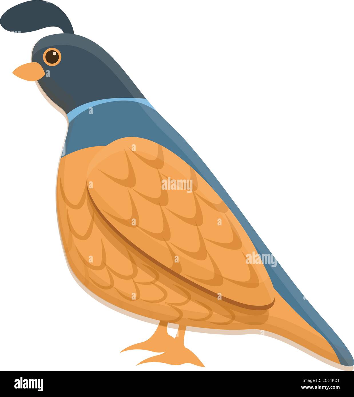 Quail icon. Cartoon of quail vector icon for web design isolated on ...