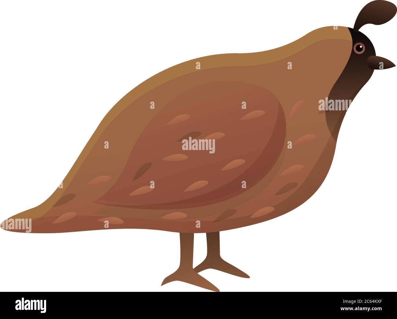 Farm quail icon. Cartoon of farm quail vector icon for web design ...