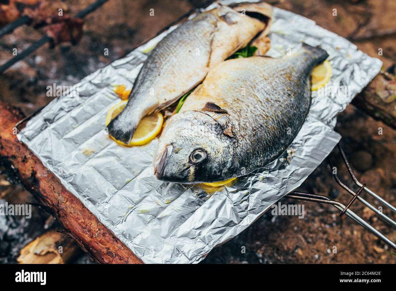 Dorado fish is fried on a foil with lemons and parsley over hot coals ...