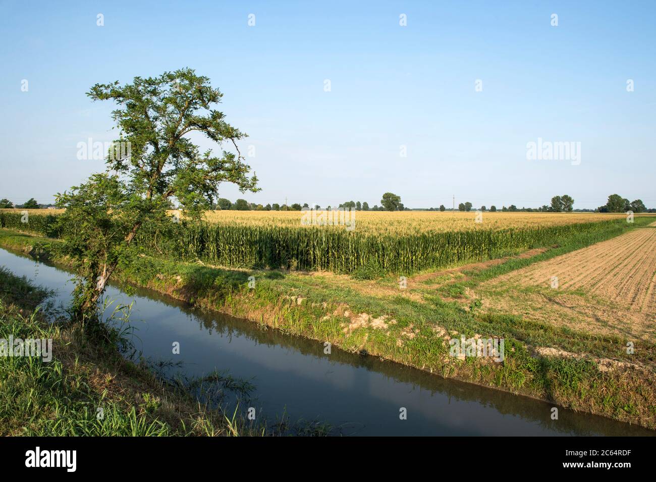 Orio litta hi-res stock photography and images - Alamy