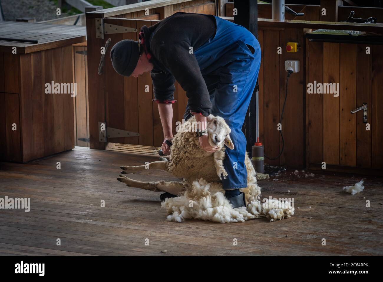 Man Holding Lamb High Resolution Stock Photography and Images - Alamy