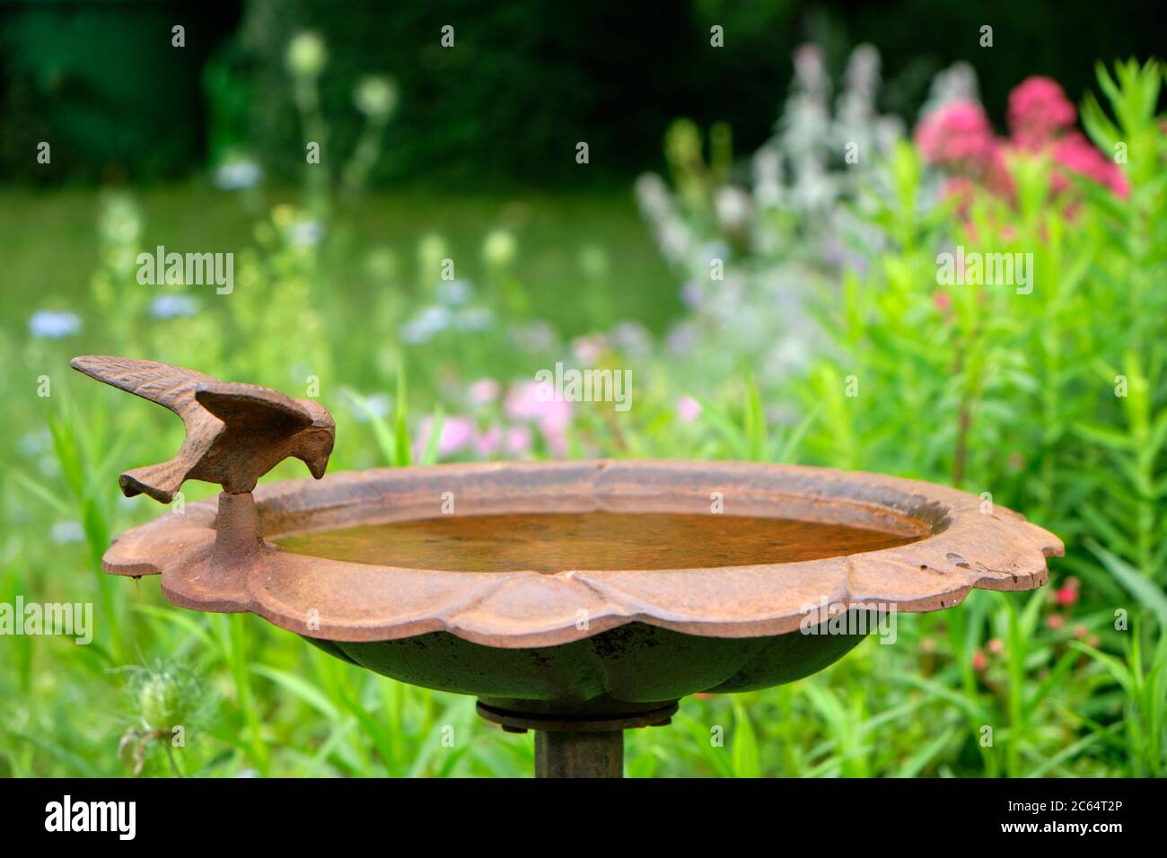 Garden Gardening Bird Bath High Resolution Stock Photography and Images ...