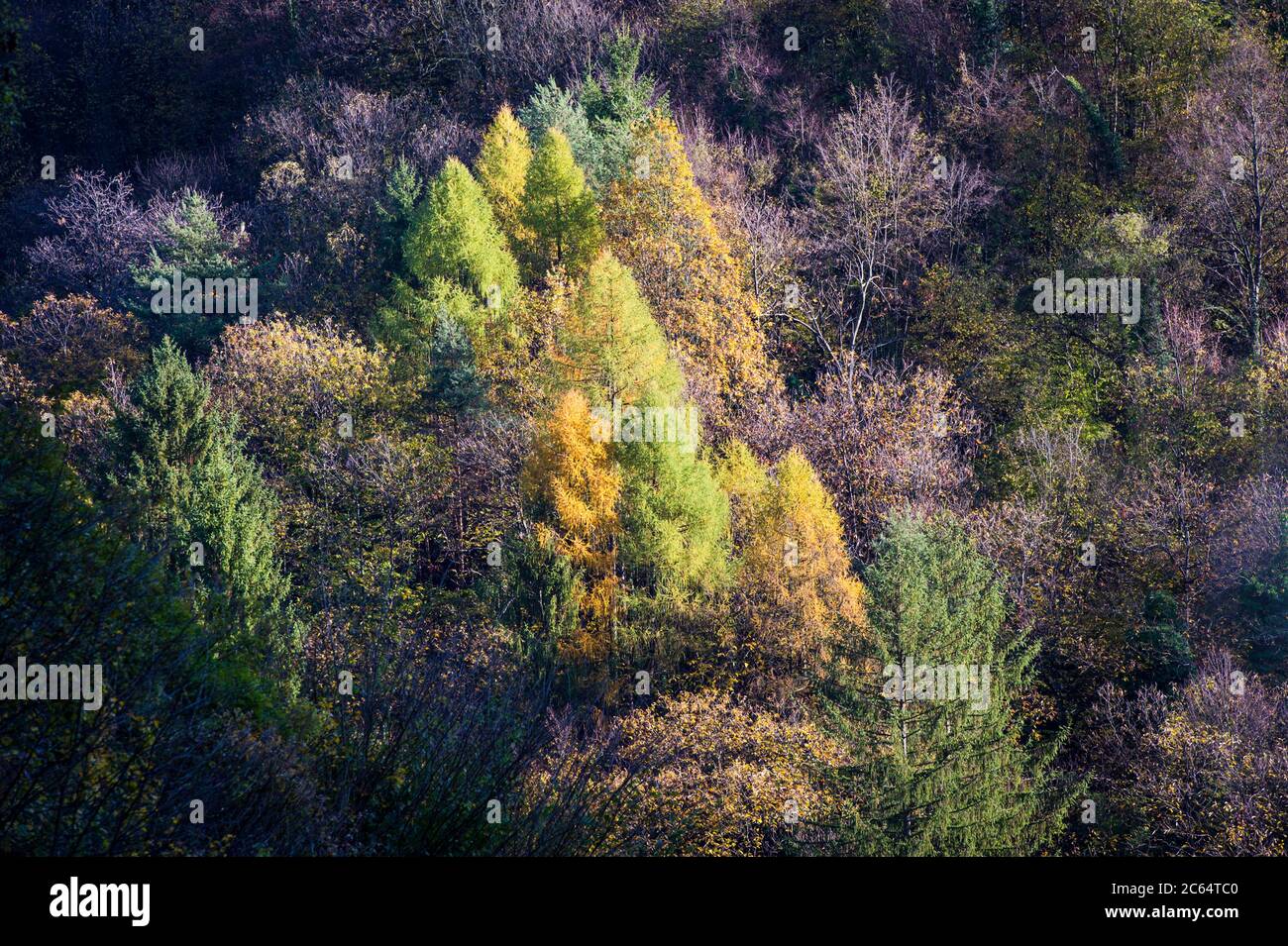 Trompia valley hi-res stock photography and images - Alamy