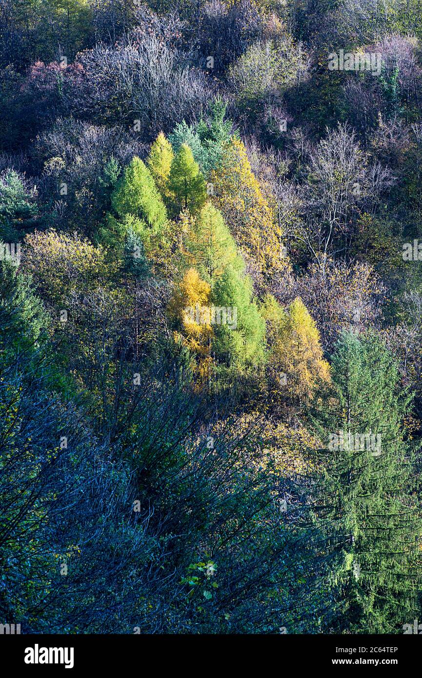 Trompia valley hi-res stock photography and images - Alamy
