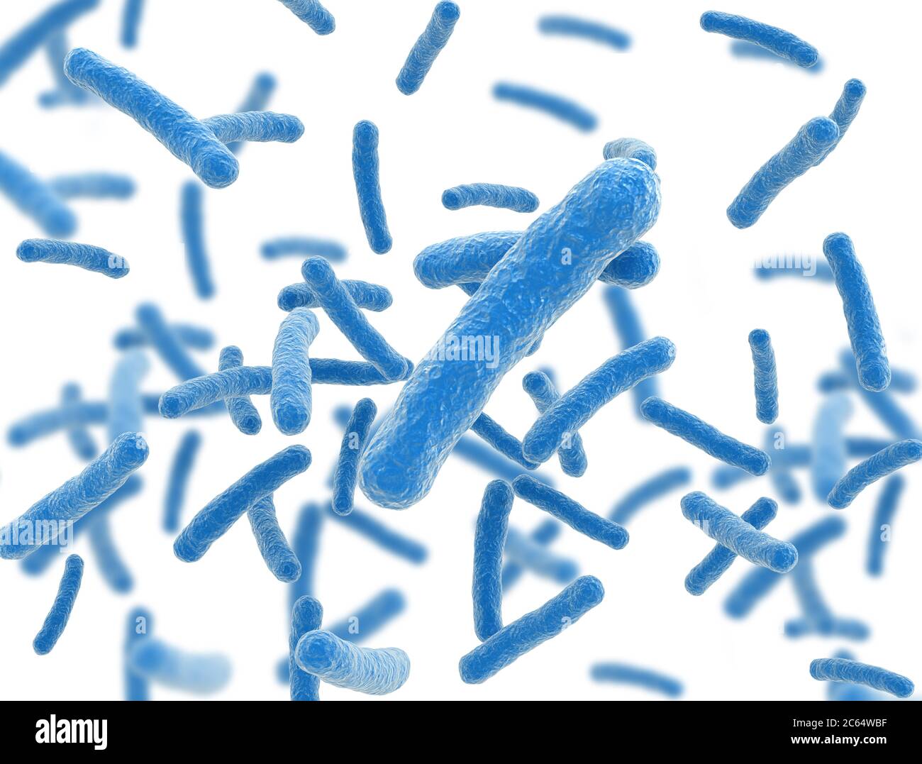 Many smal bacteria cells flowing on white background Stock Photo - Alamy