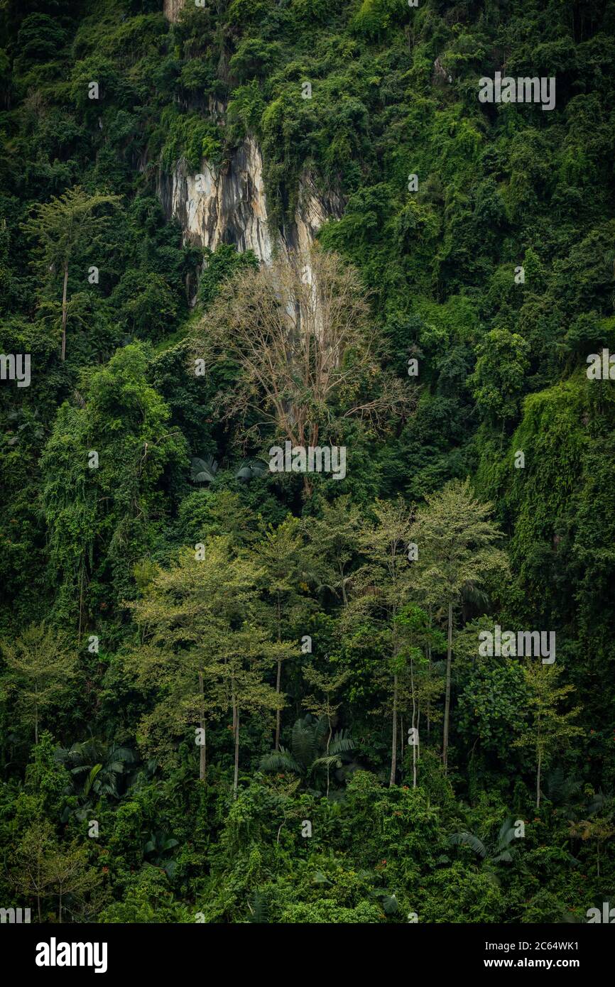 Gunung lang hi-res stock photography and images - Alamy