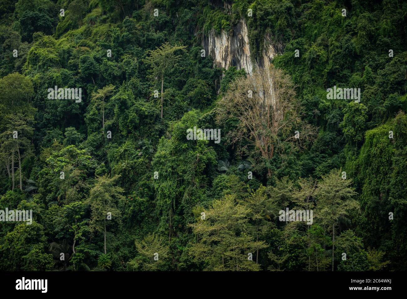 Scenic mountains and lake view in Tambun, Perak, Malaysia Stock Photo ...