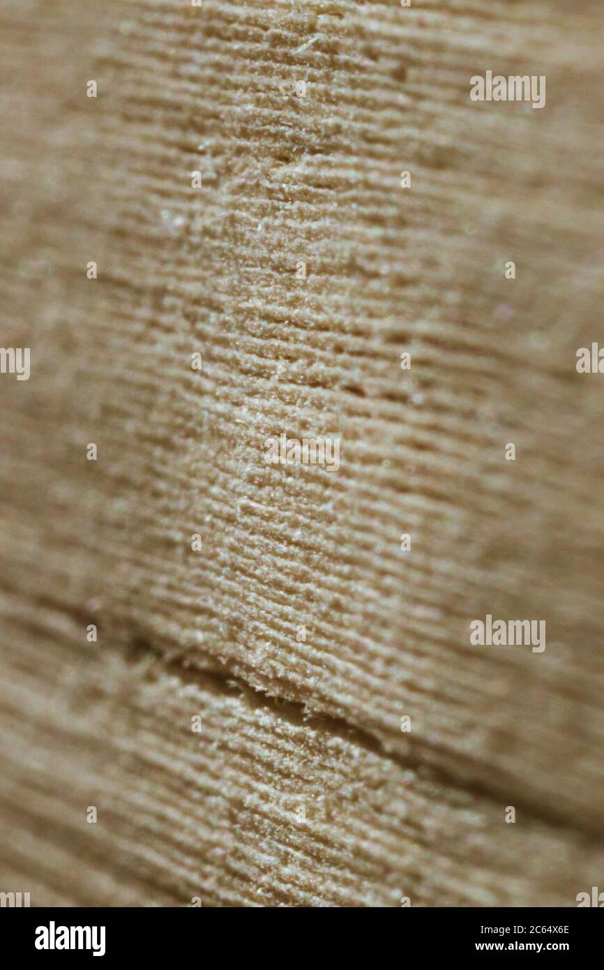 Ultra macro hi-res stock photography and images - Alamy