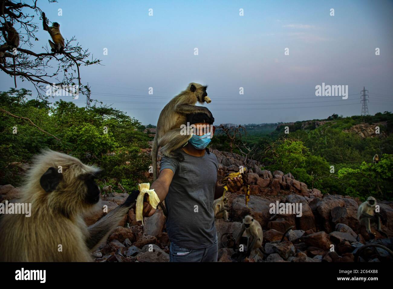 Hanuman temple delhi hi-res stock photography and images - Alamy