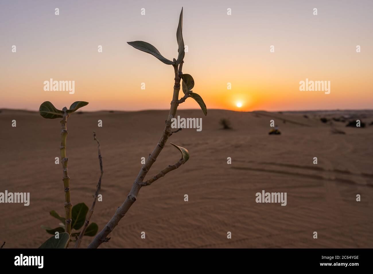 Sand dunes sunset dubai hi-res stock photography and images - Alamy