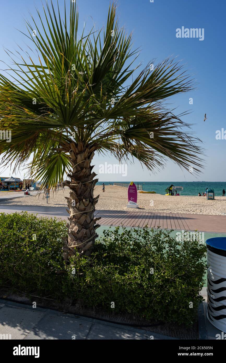 Dubai, UAE - January 2020. The Kite Beach is a long, pristine stretch ...