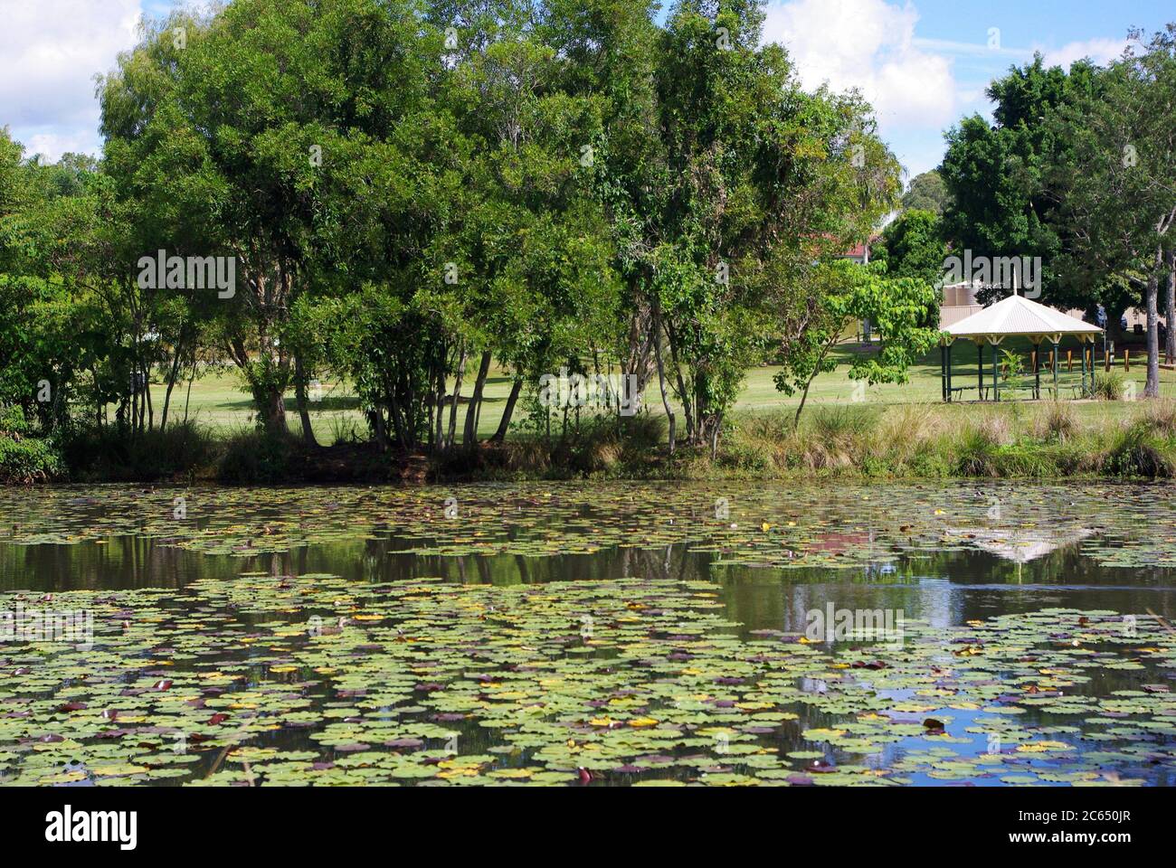 Picnic Shelter at Mapleton Lilyponds Queensland Stock Photo - Alamy