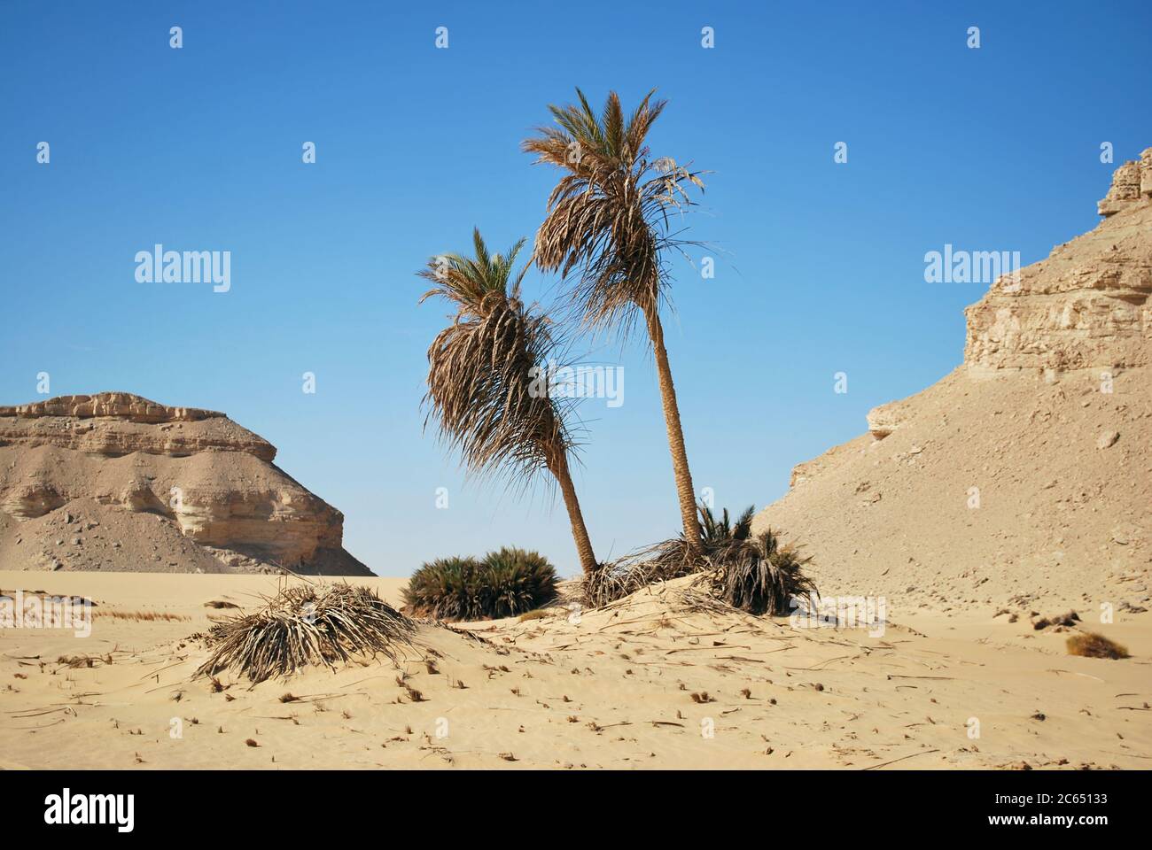 Hawas hi-res stock photography and images - Alamy