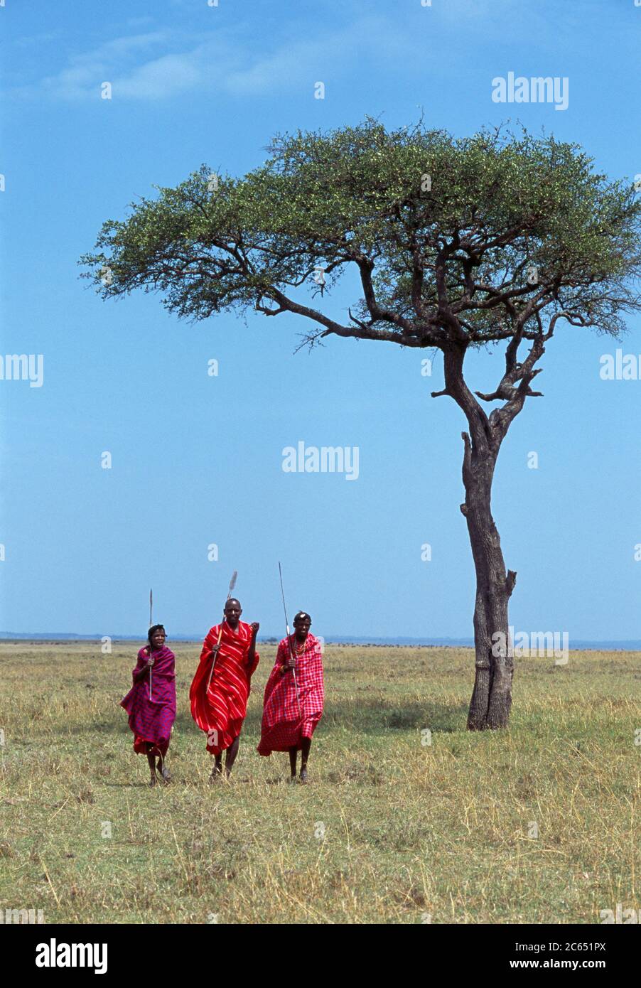 Masai typical costume hi-res stock photography and images - Alamy