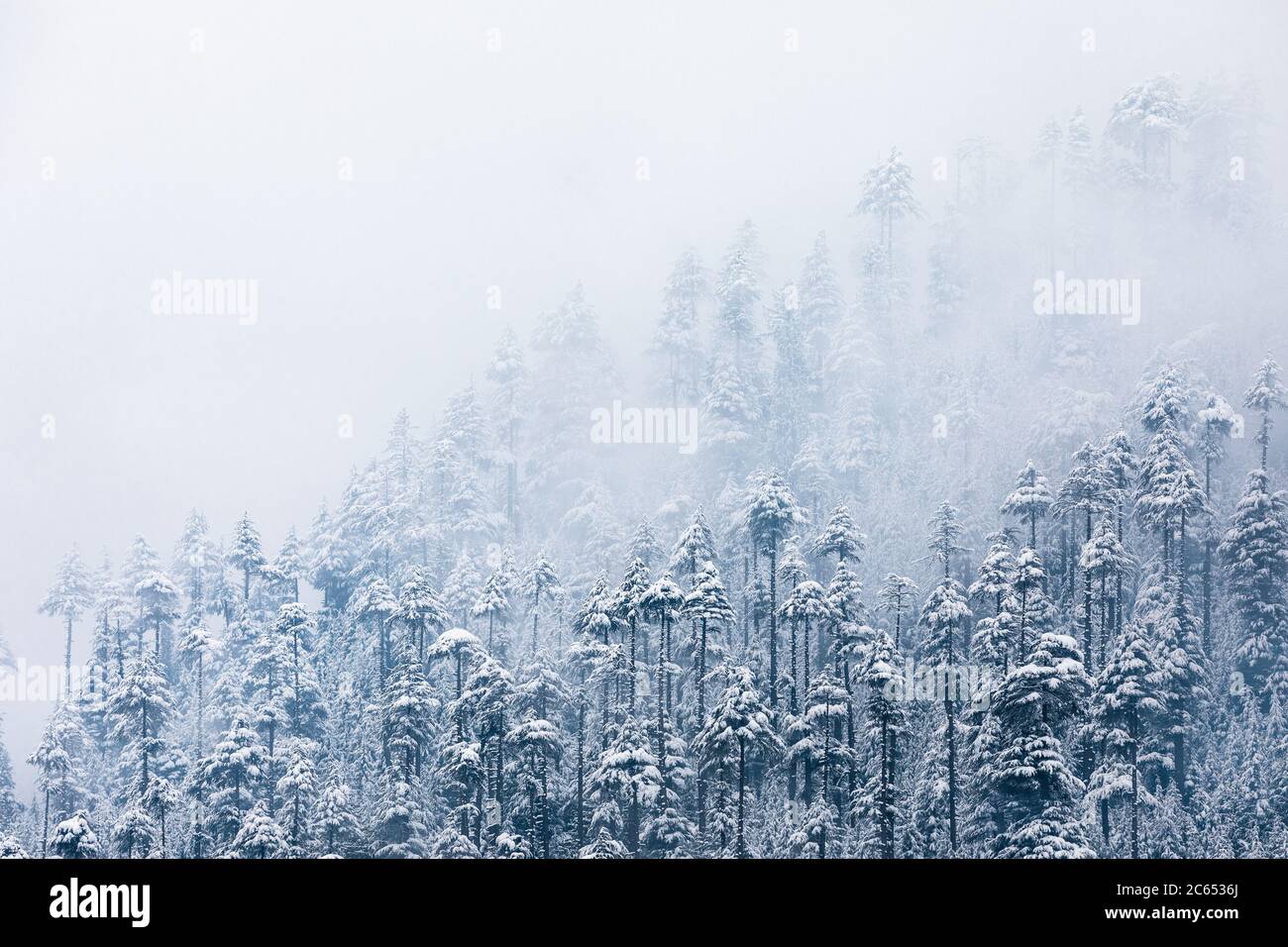 Snowfall in manali hi-res stock photography and images - Alamy