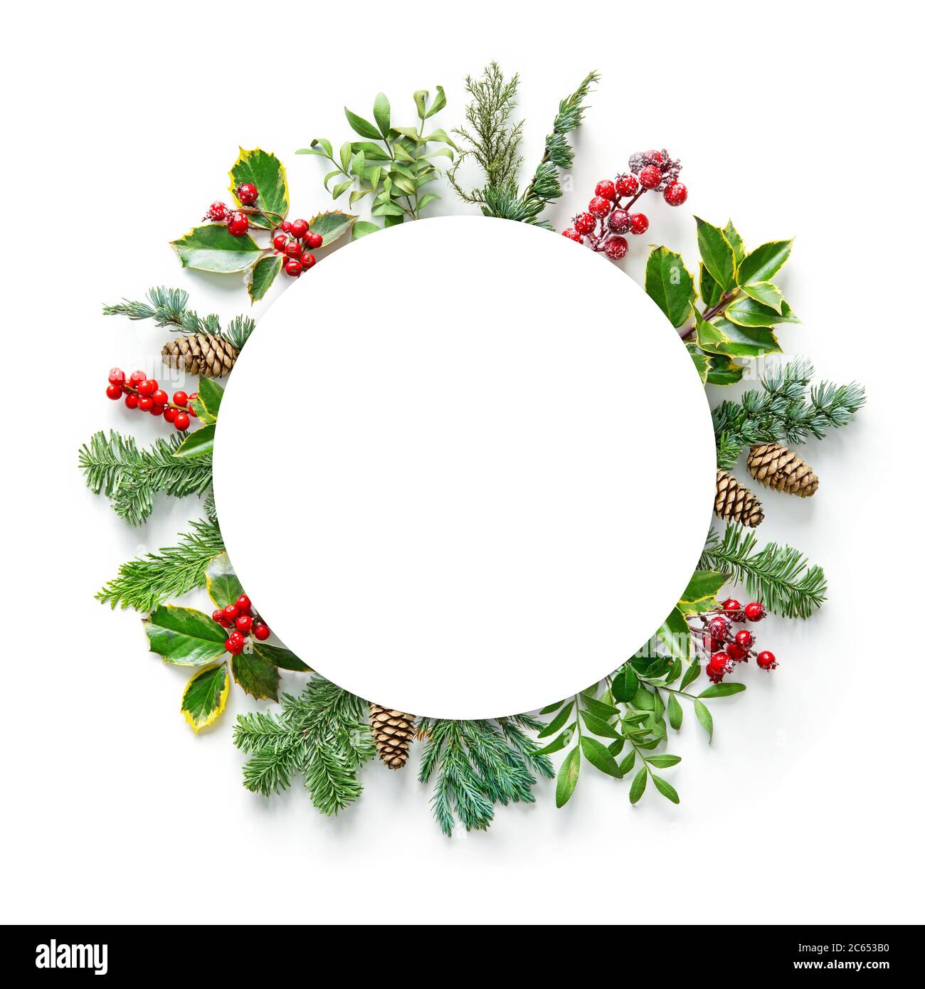 Fir spruce holly berry Cut Out Stock Images & Pictures - Alamy