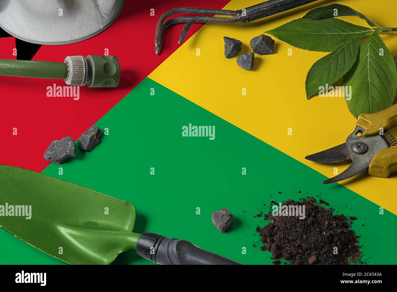 Conakry farm hi-res stock photography and images - Alamy