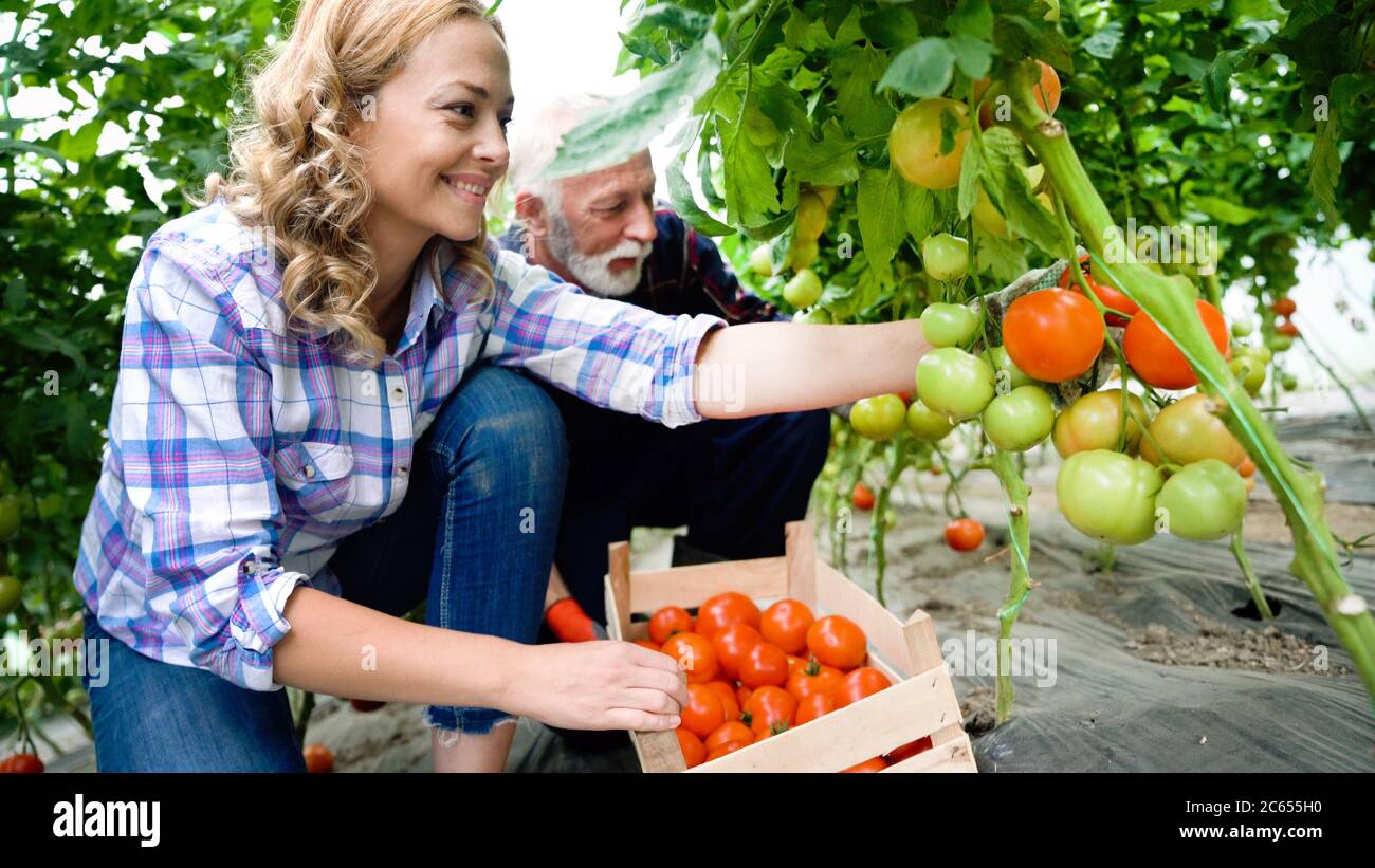 Vegetable harvest family hi-res stock photography and images - Alamy