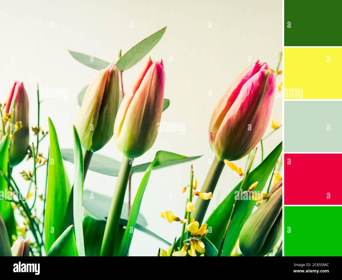 Pastel paint chart hi-res stock photography and images - Alamy