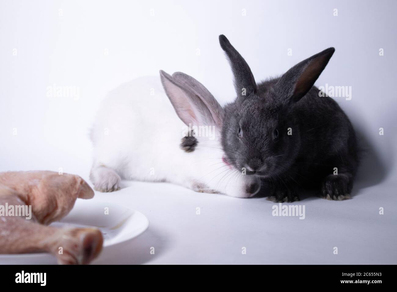 Dead rabbits for sale hi-res stock photography and images - Alamy
