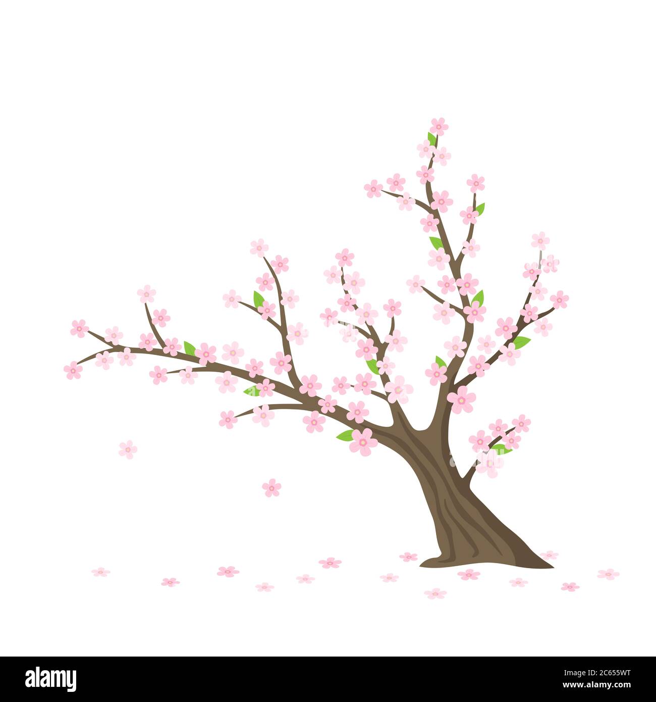 Vector flat Sakura tree isolated. Cherry tree with flowers on white ...