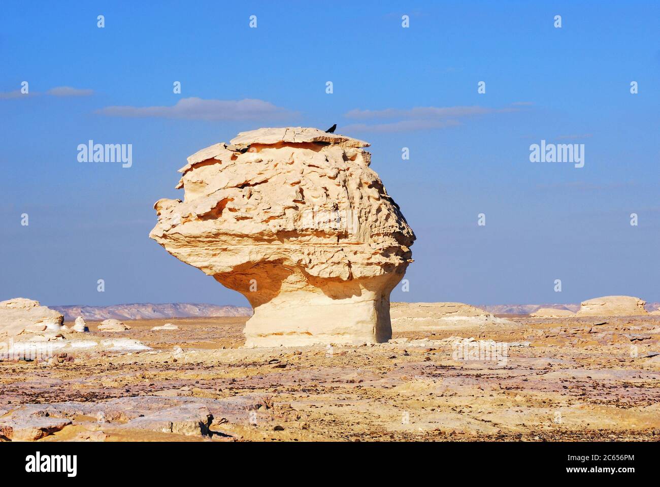 The limestone formation in White Desert at sunset, Sahara, Egypt Stock ...