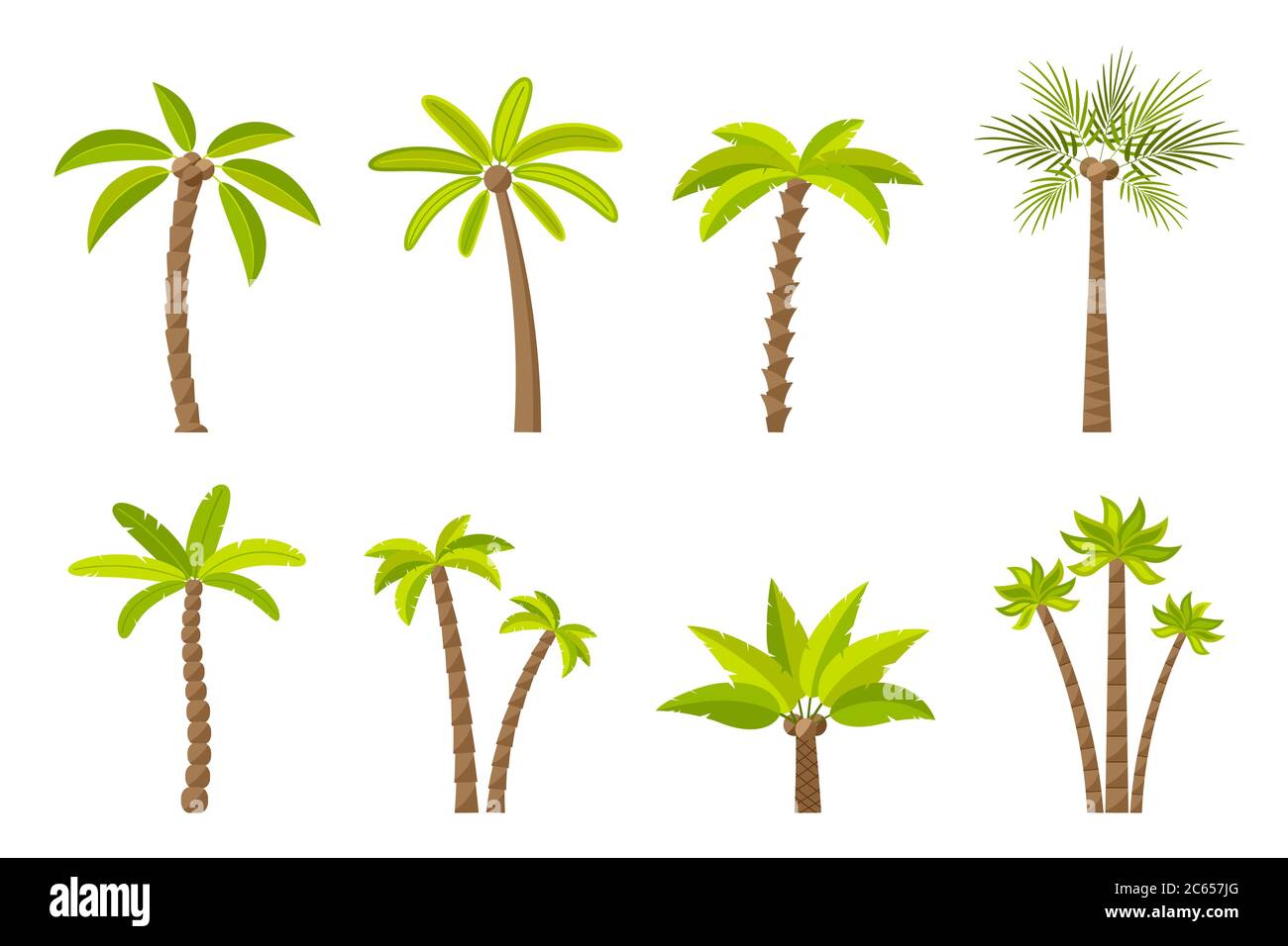 Vector set of green simple trees. Flat cartoon palms on white ...