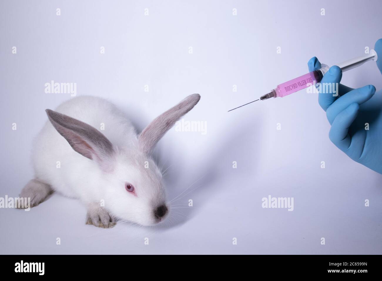 a hand in a blue medical glove injects a pink liquid into a frightened ...