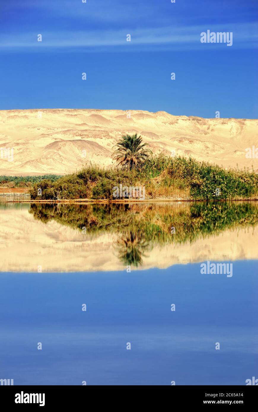 Farafra oasis in the Sahara, lake in the desert, Egypt Stock Photo - Alamy