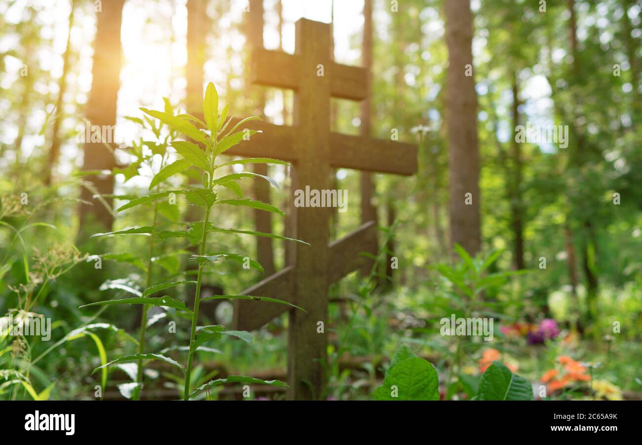 Old forgotten grave in the forest cemetery Stock Photo - Alamy
