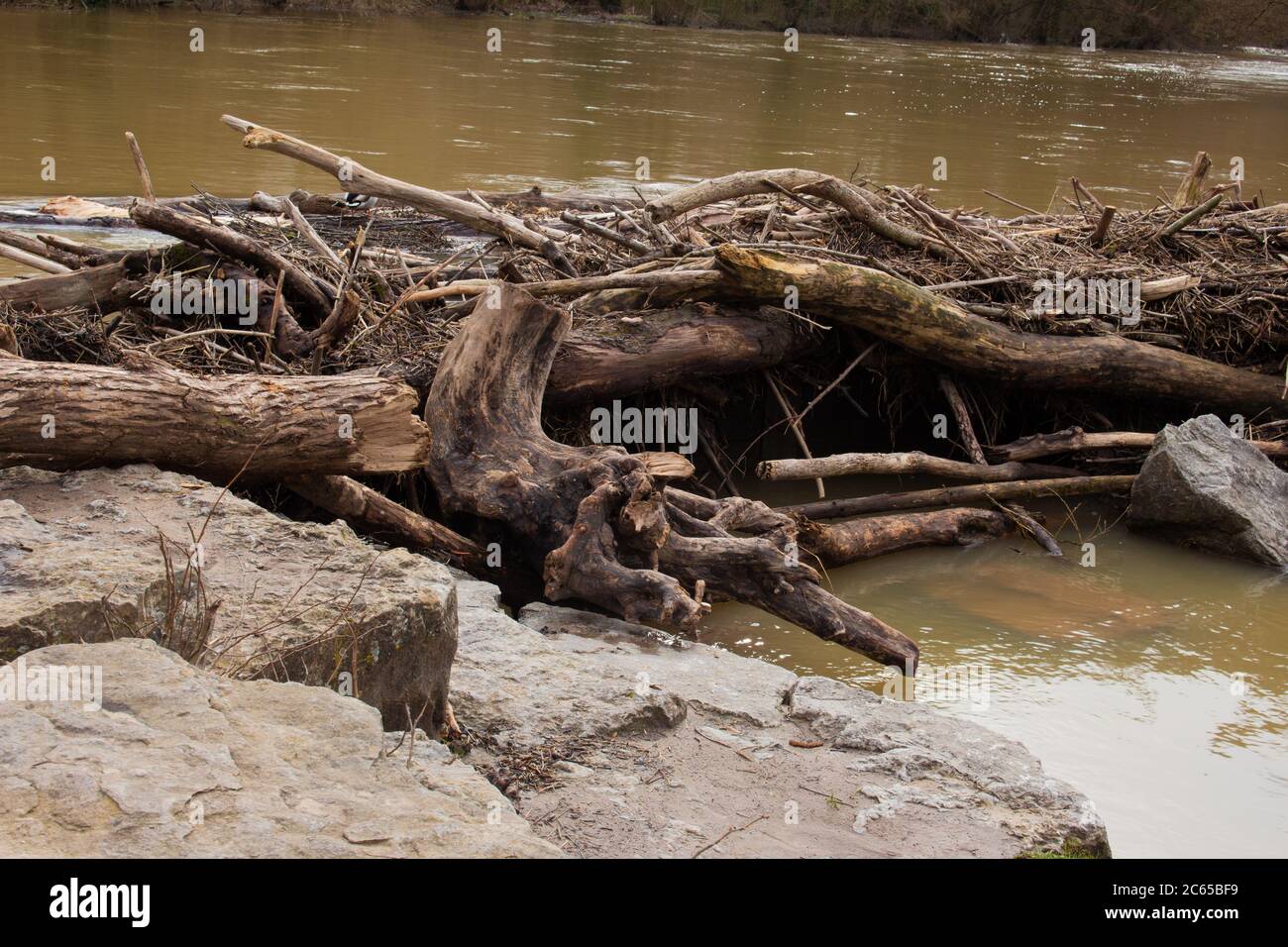 Natural dam made out of Branches and Rocks Stock Photo - Alamy