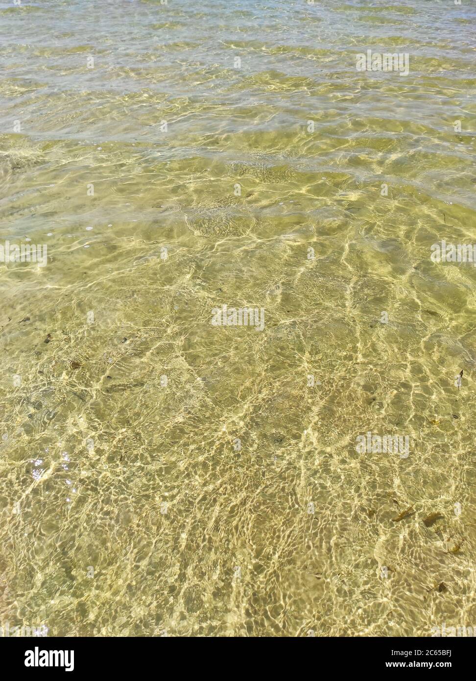 Transparent lake water and sand beach. Beautiful summer wallpaper ...