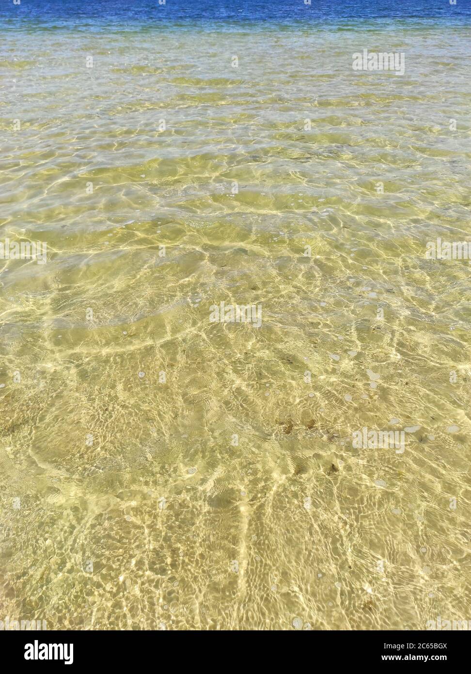 Transparent lake water shallow and depth. Beautiful summer wallpaper ...