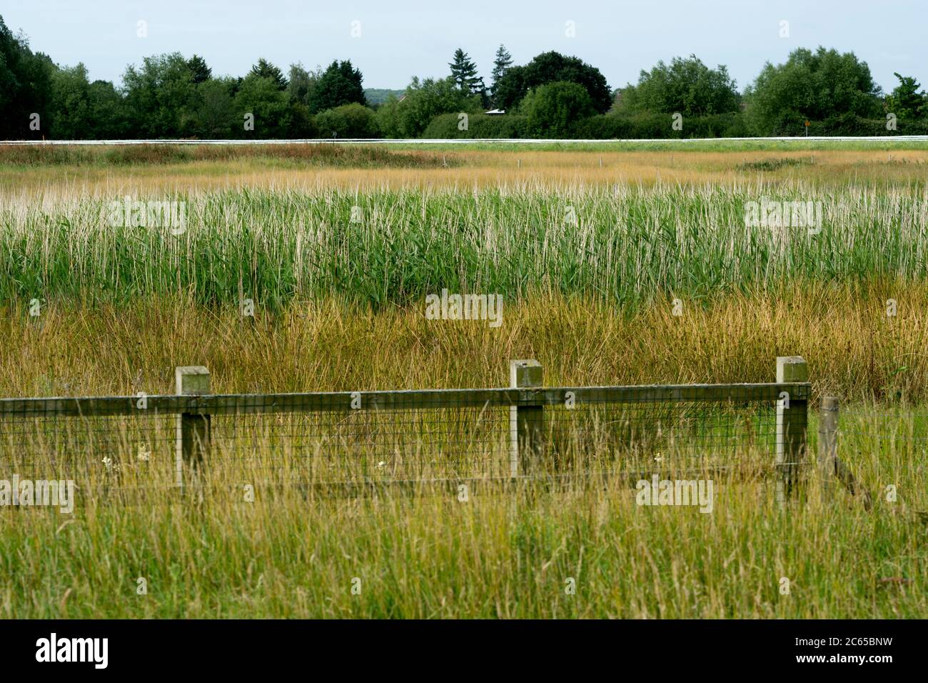The conservation area at the Lammas Field (St. Mary`s Lands), Warwick ...