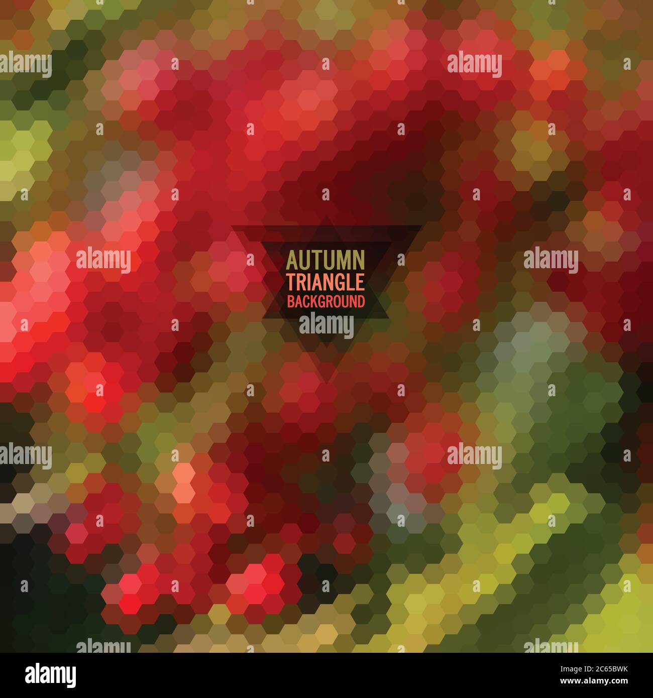 Nature pattern of geometric shapes Stock Vector Image & Art - Alamy