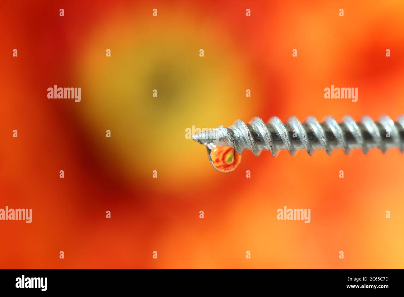 Screw flower hi-res stock photography and images - Alamy