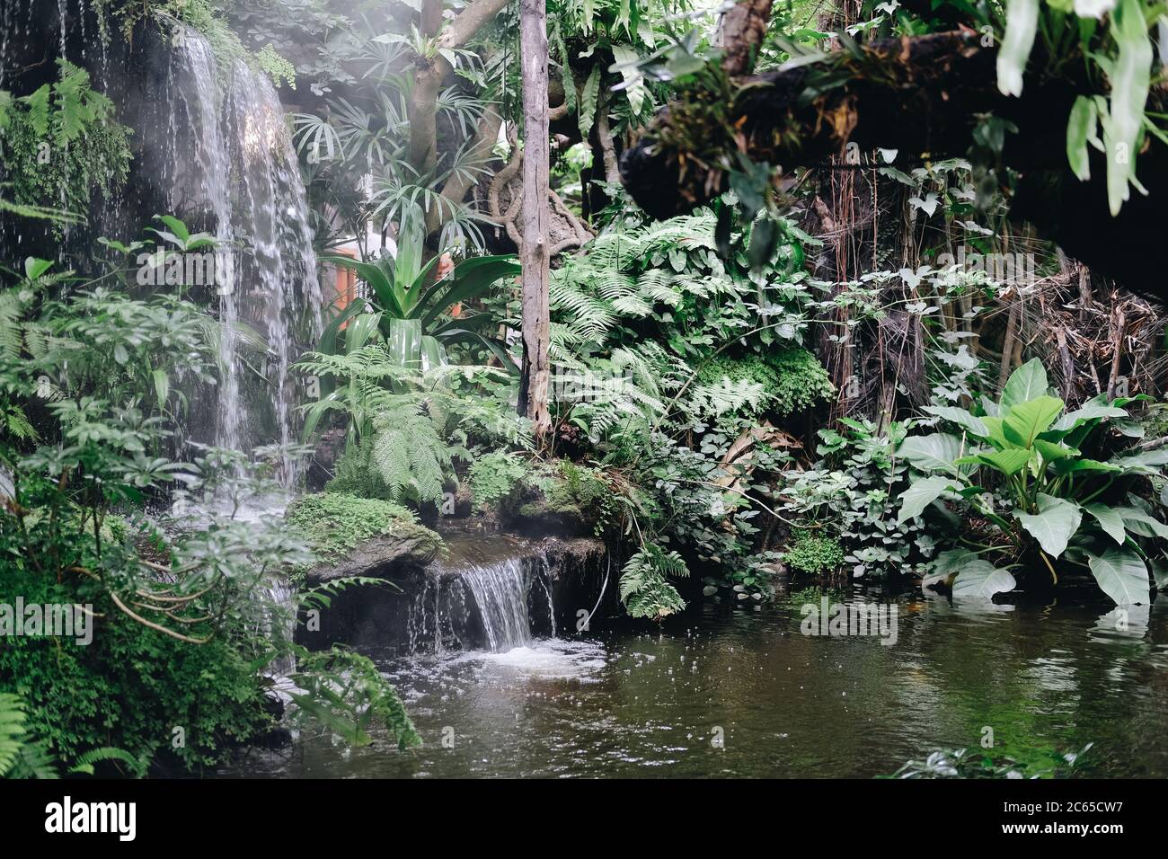 cascade watefall & pond plant tree in garden park Stock Photo - Alamy