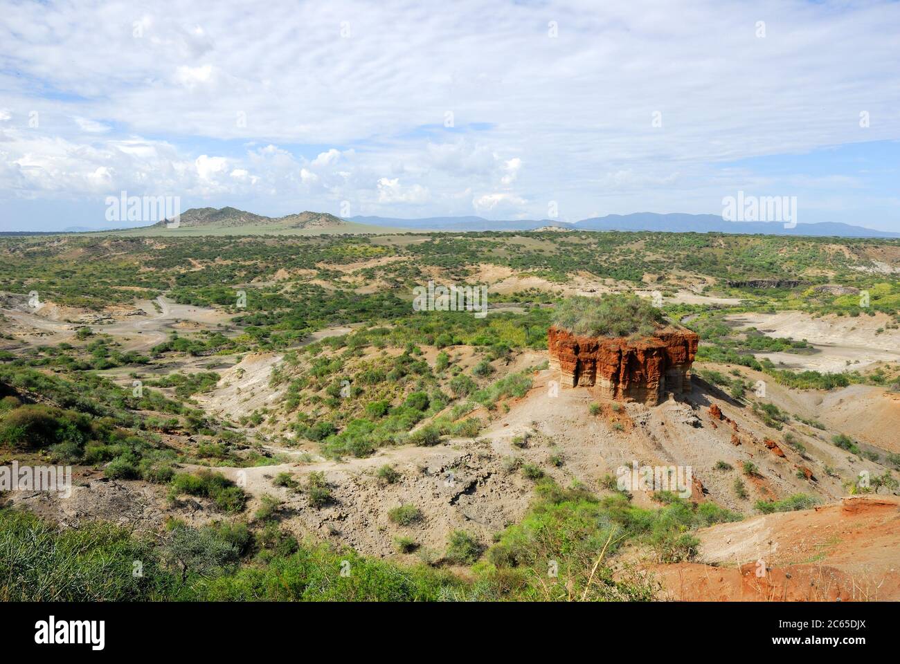 View of ravine Olduvai Gorge, one of the most important ...