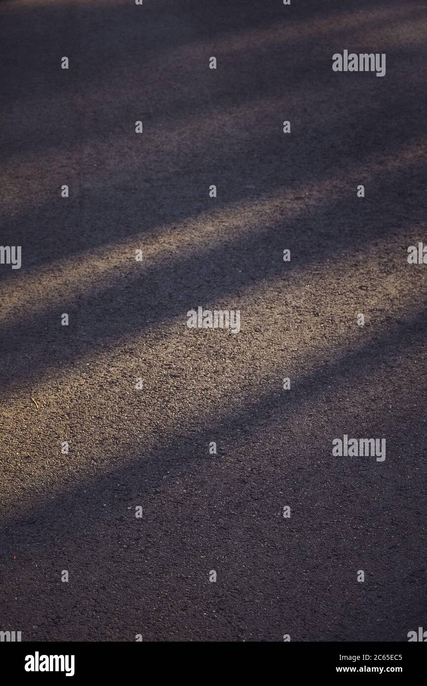 wet asphalt road with dark shadow of door and light of morning, asphalt ...