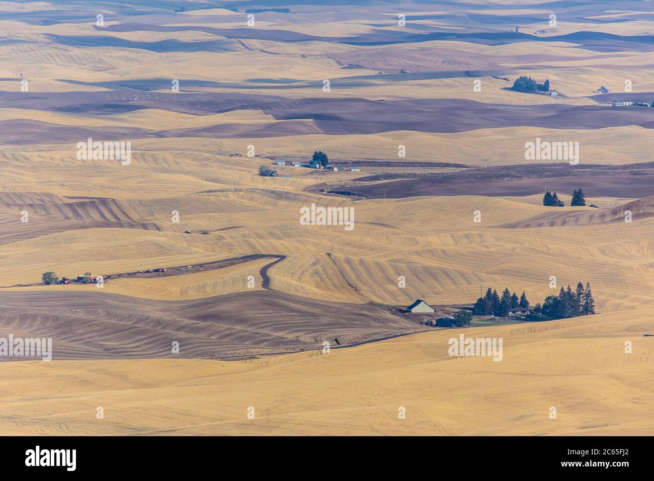 The Palouse wheat field on autumn time Stock Photo - Alamy