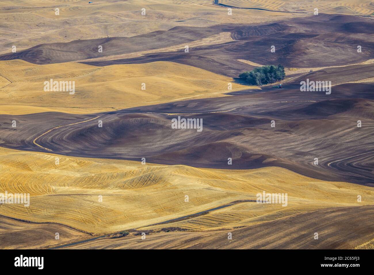 The Palouse wheat field on autumn time Stock Photo - Alamy