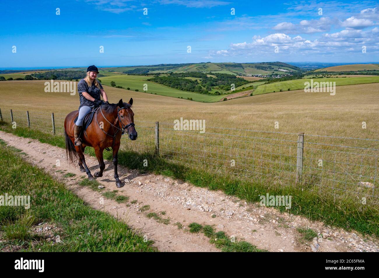 Bridal path horse hi-res stock photography and images - Alamy