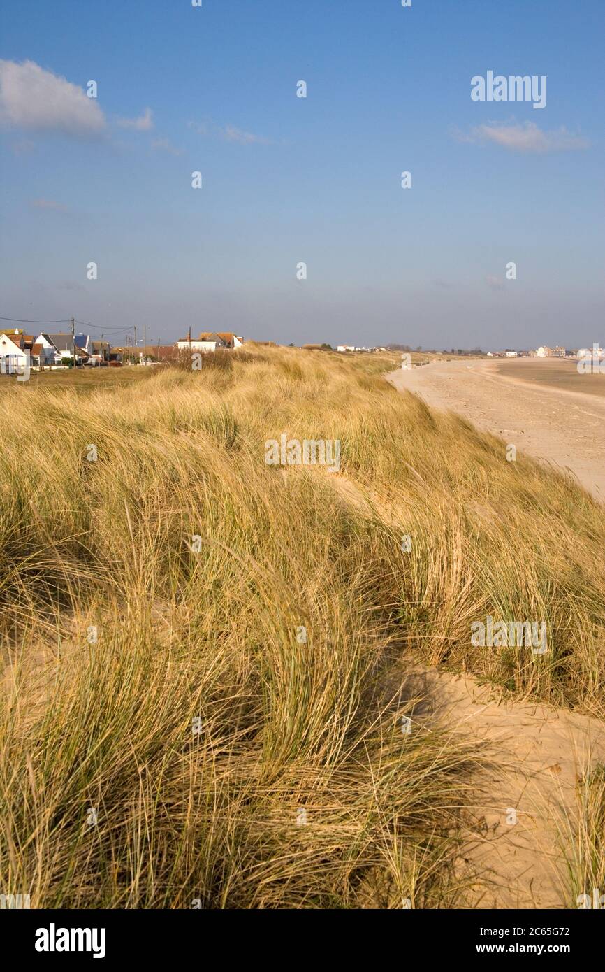 Greatstone beach hi-res stock photography and images - Alamy