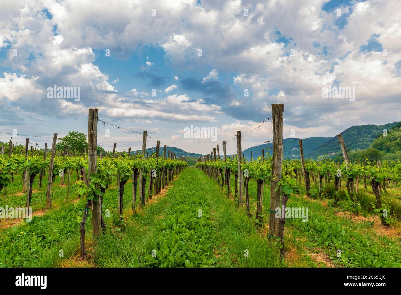 Vipava valley hi-res stock photography and images - Alamy