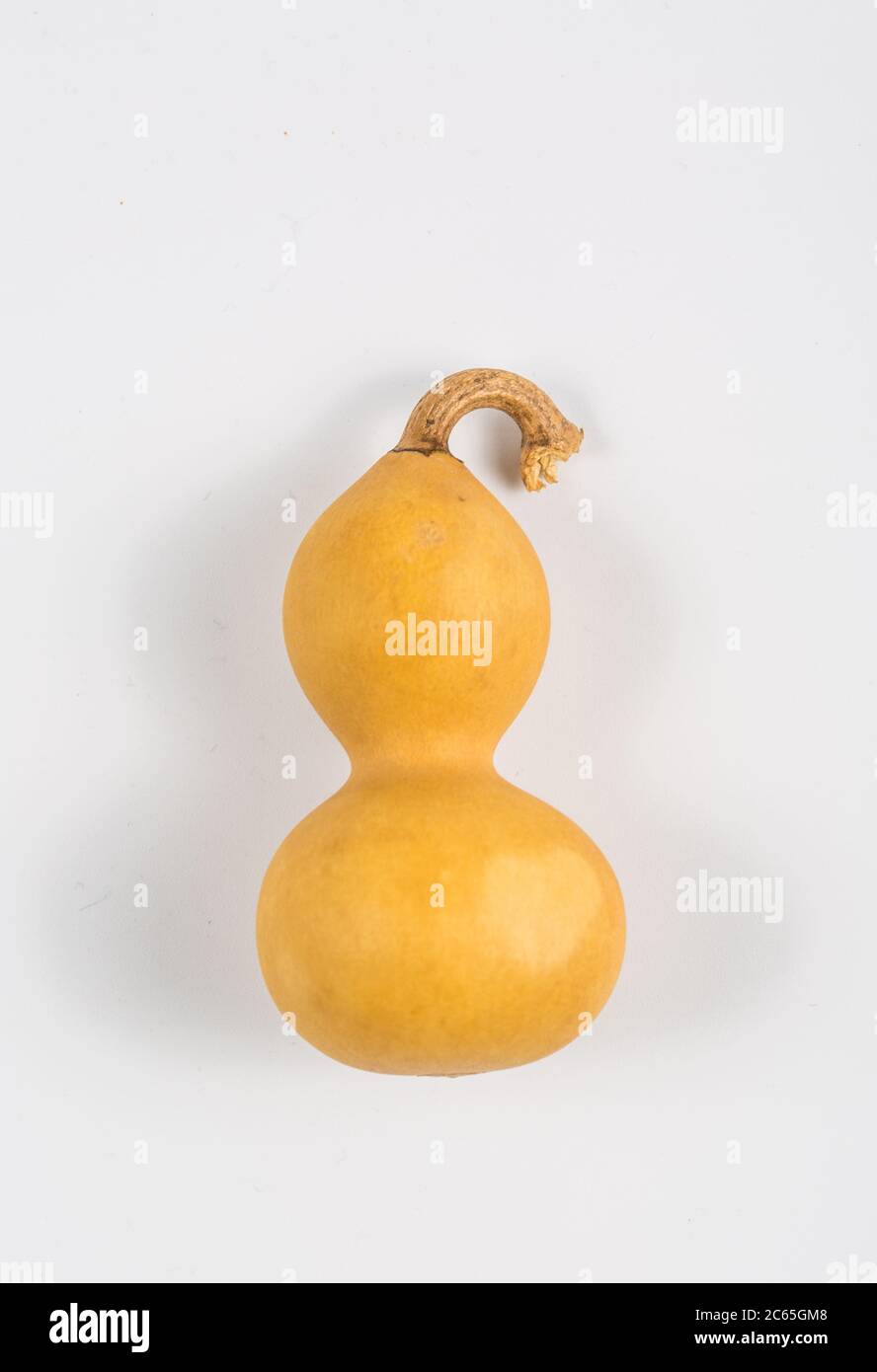 Blue background and yellow ripe gourd fruit closeup Stock Photo - Alamy