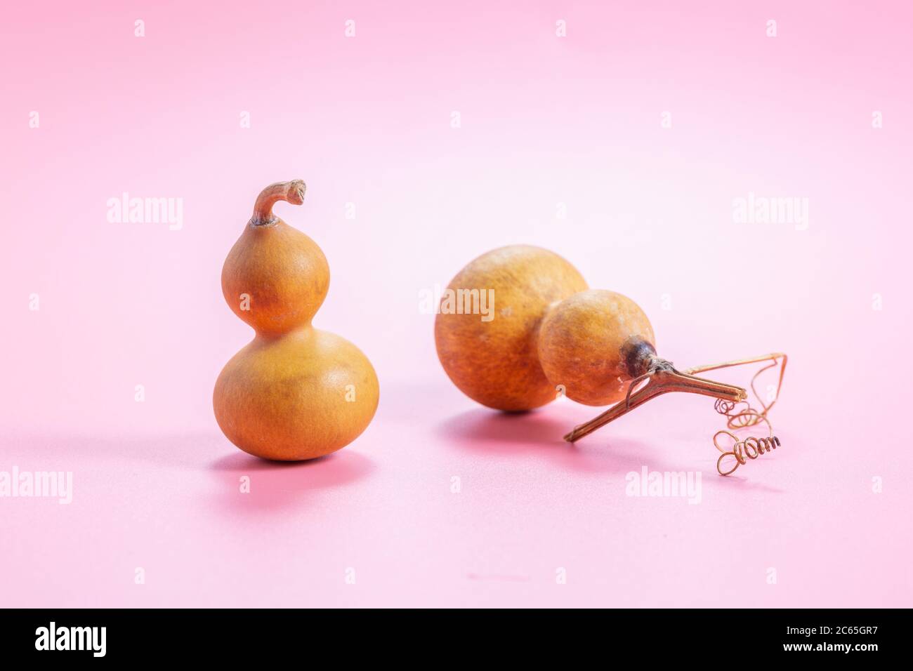 Pink background and yellow ripe gourd fruit close-up Stock Photo - Alamy