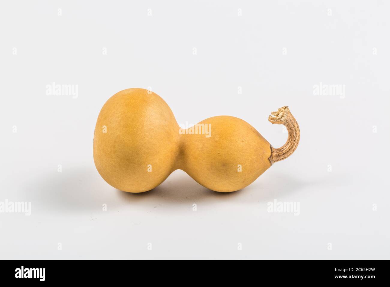 White background and yellow ripe gourd fruit close-up Stock Photo - Alamy