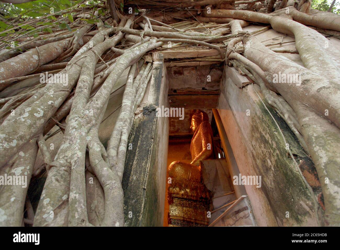 A view of Wat Bang Kung Banyan Tree Temple in Amphawa.Built in the ...